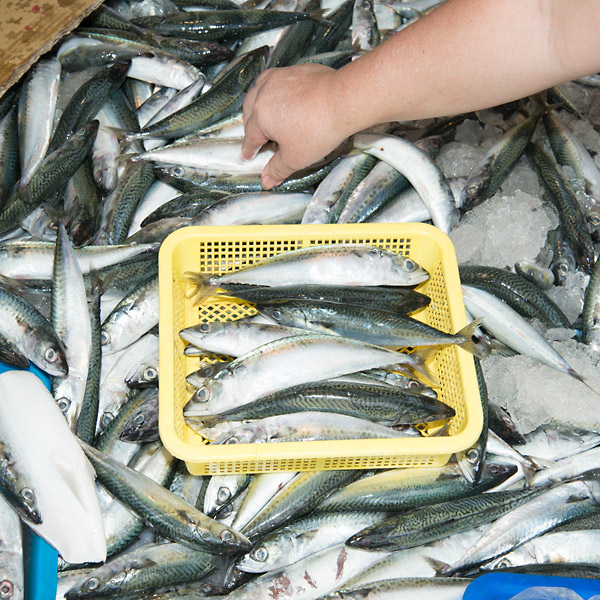 Mike Kitcher Albums: songs, discography, biography, and listening guide ...