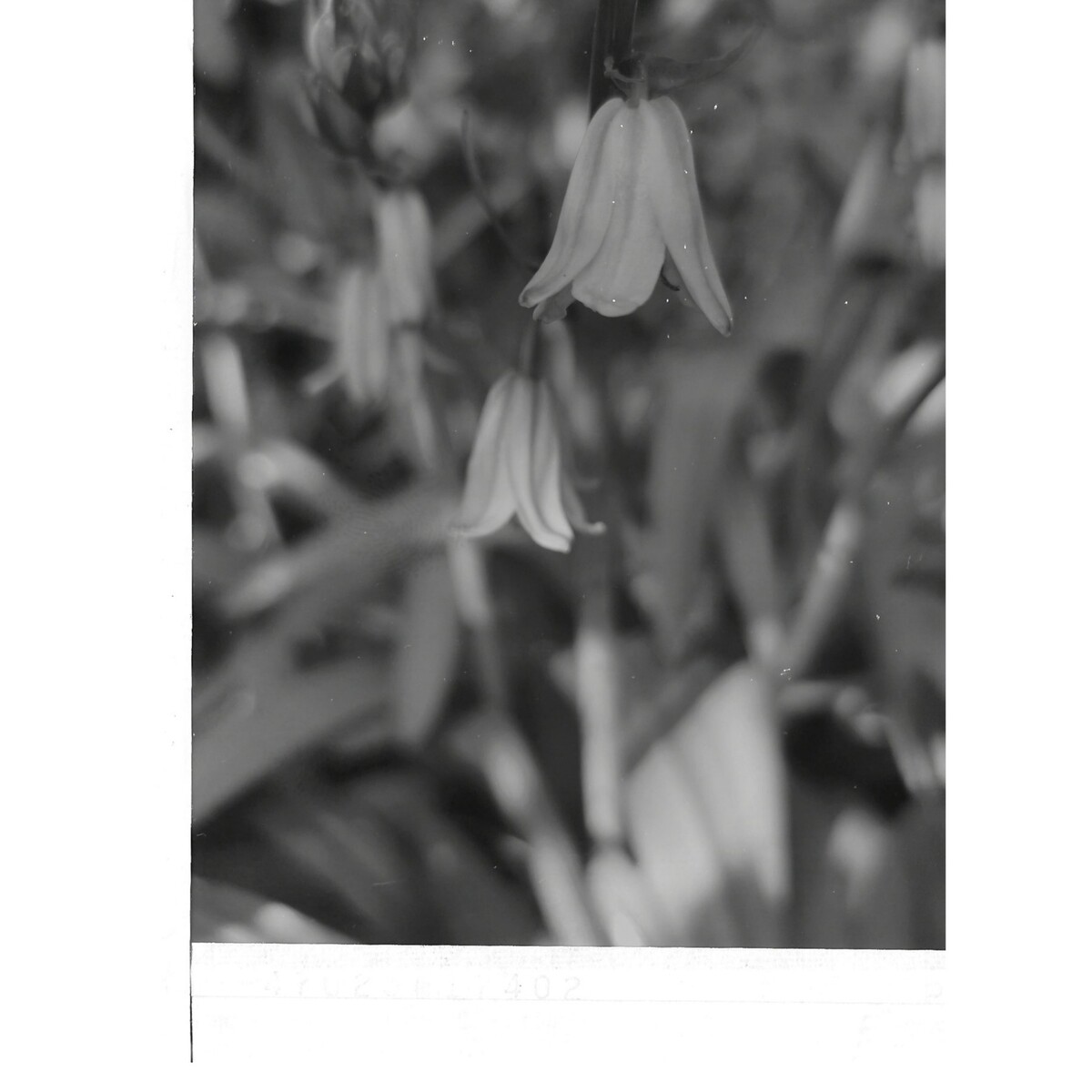 The Sunday Project by Ishmael Cormack & Thom Quentin Leigh (Album ...