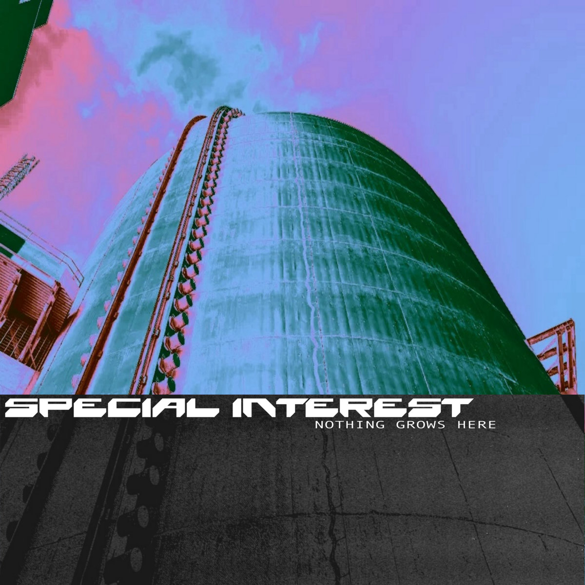 Nothing Grows Here by Special Interest (Single, Dance-Punk): Reviews ...