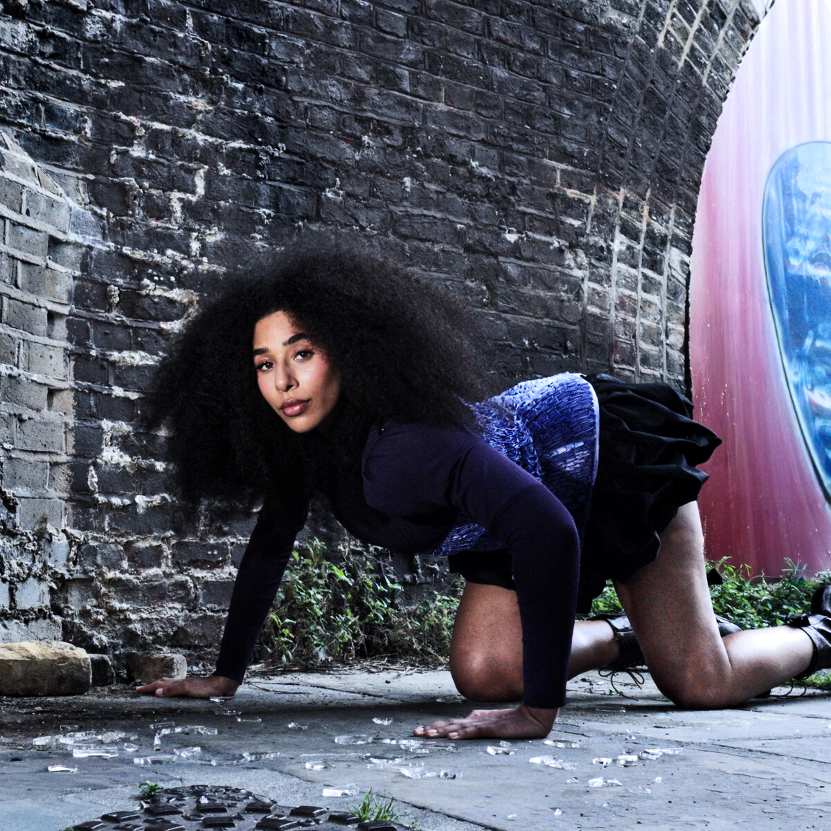 Delicate Paws by Alpha Maria (Single, Dance-Pop): Reviews, Ratings ...