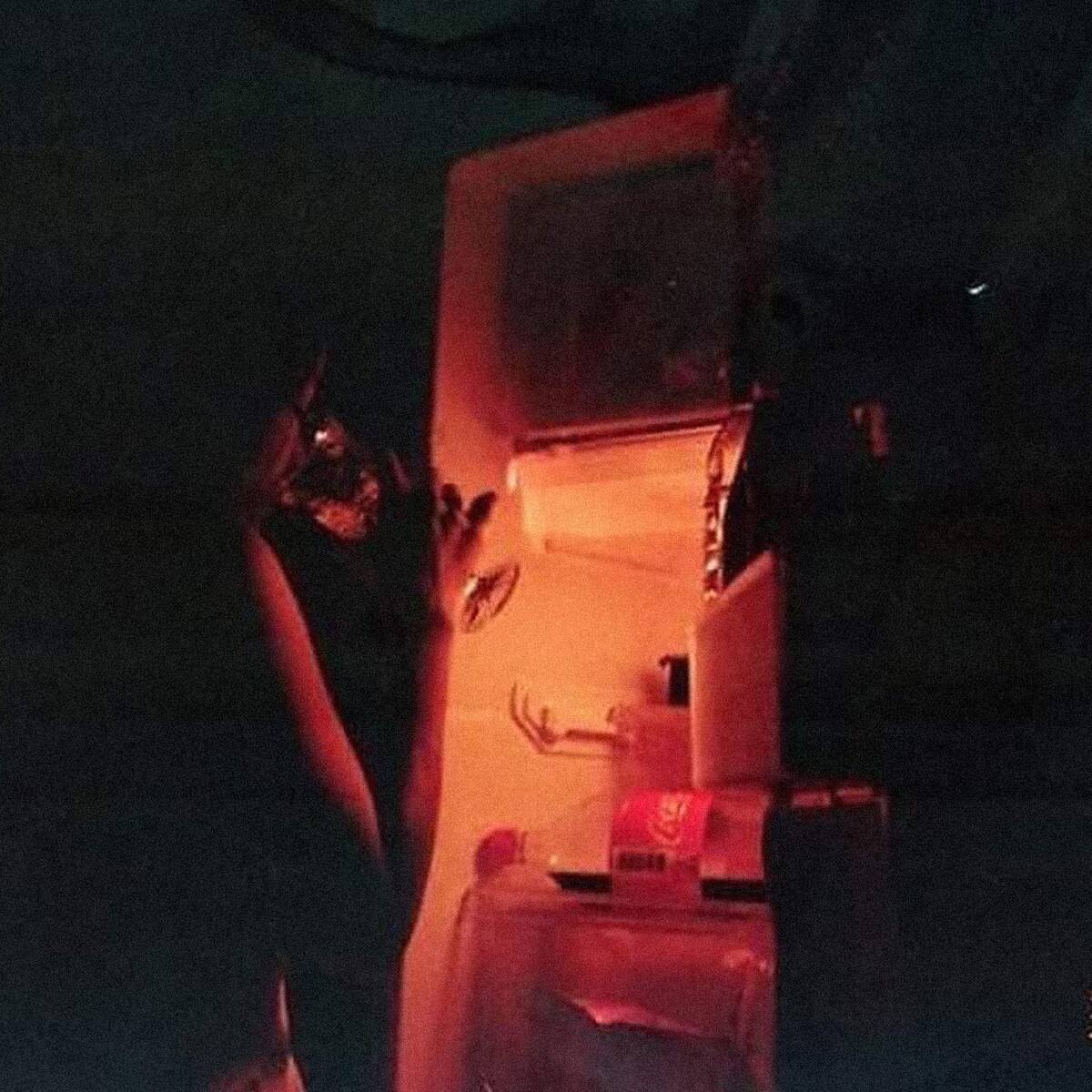 Dear Flower by Flowers For Daryl (Single): Reviews, Ratings, Credits ...