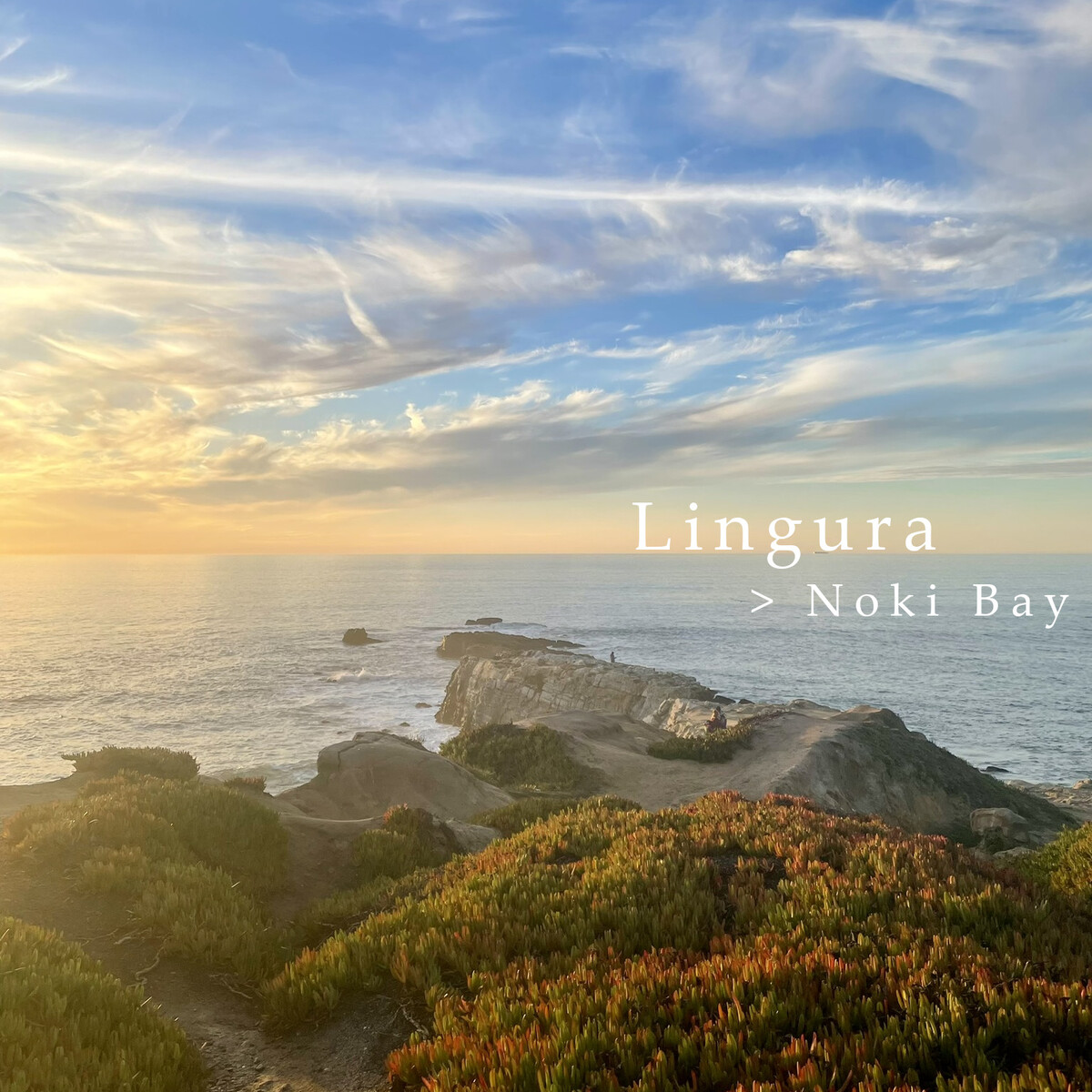 Noki Bay by Lingura (Single): Reviews, Ratings, Credits, Song list - Rate Your Music