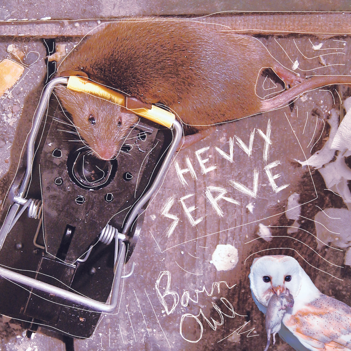 Barn Owl by Hevvy Serve (EP, Shoegaze): Reviews, Ratings, Credits, Song ...