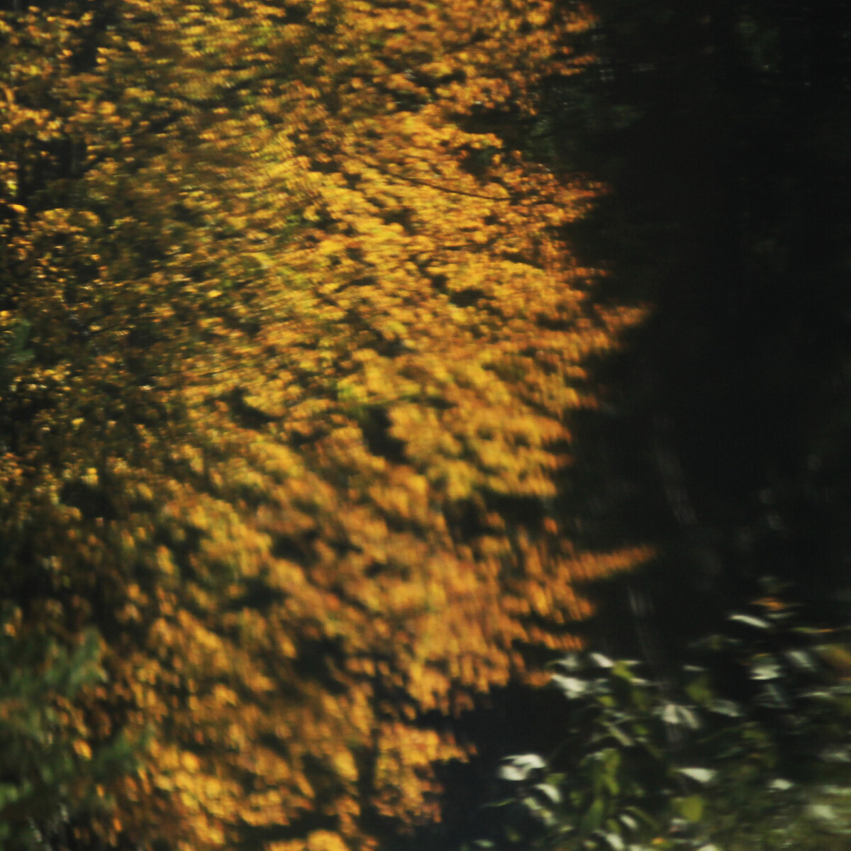 Ikya by Sonnov (Album): Reviews, Ratings, Credits, Song list - Rate ...