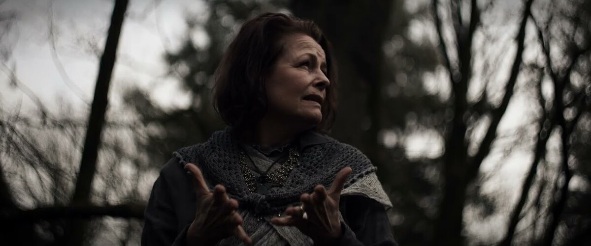 Wanneer het glas breekt by Walg (Music video): Reviews, Ratings ...