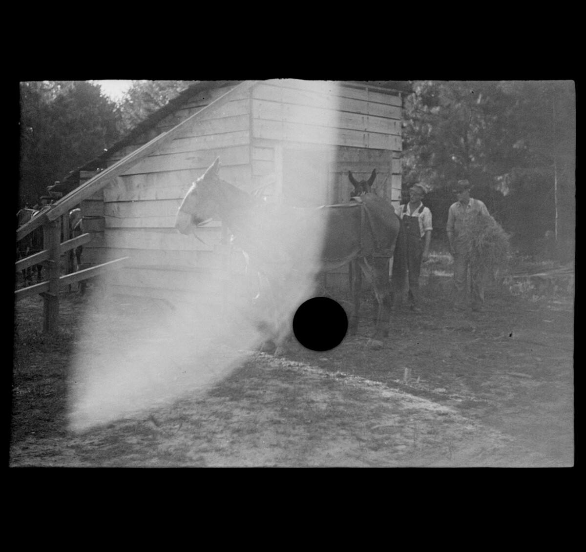 Best Drone albums of 2024 - Rate Your Music