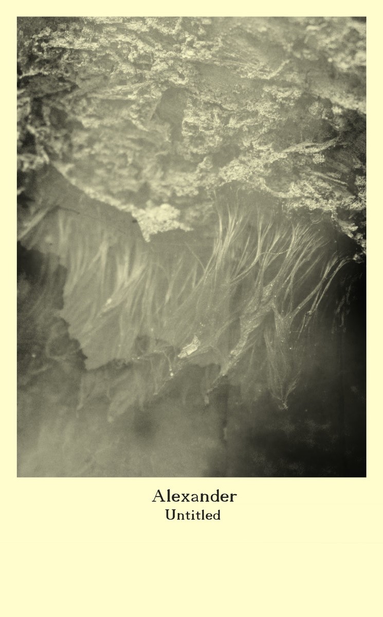 Alexander Albums: songs, discography, biography, and listening guide ...