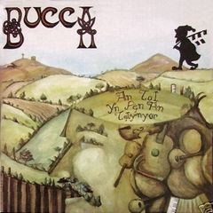 An tol yn pen an telynyor (The Hole in the Harper's Head) by Bucca ...