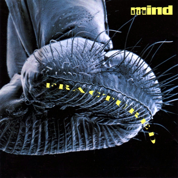 New Mind Albums: songs, discography, biography, and listening guide ...