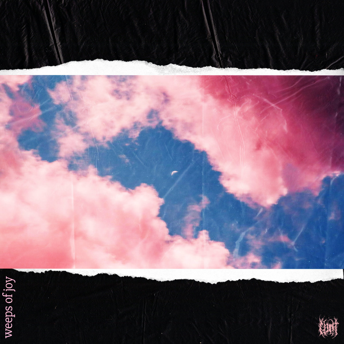 Weeps of Joy by Cvnt (Album): Reviews, Ratings, Credits, Song list ...