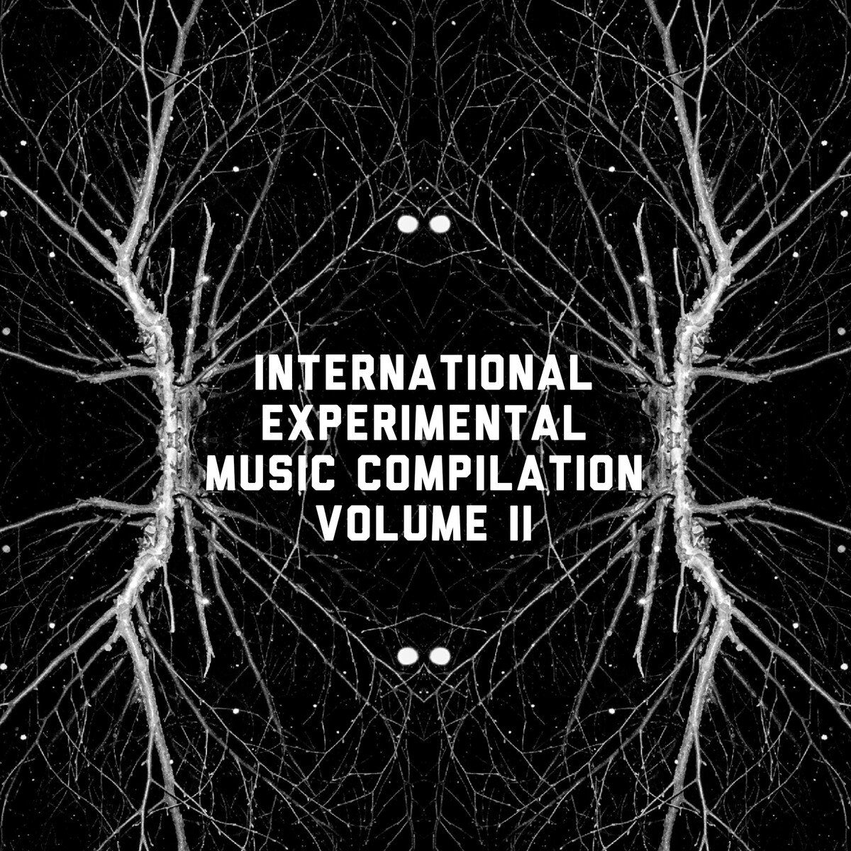 Broken Tape Records Presents: International Experimental Music Compilation (200 Way Split) by ...
