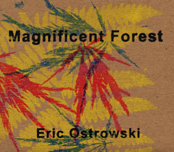 Magnificent Forest by Eric Ostrowski (Album, Free Improvisation ...