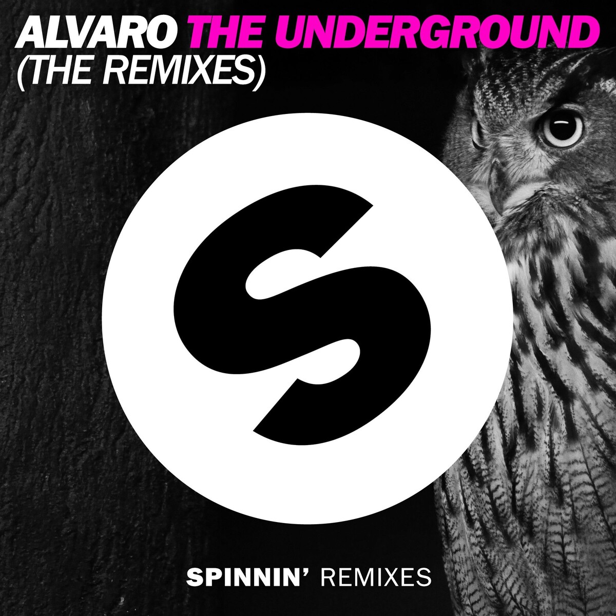 The Underground (The Remixes) by Alvaro (Single, Big Room House ...
