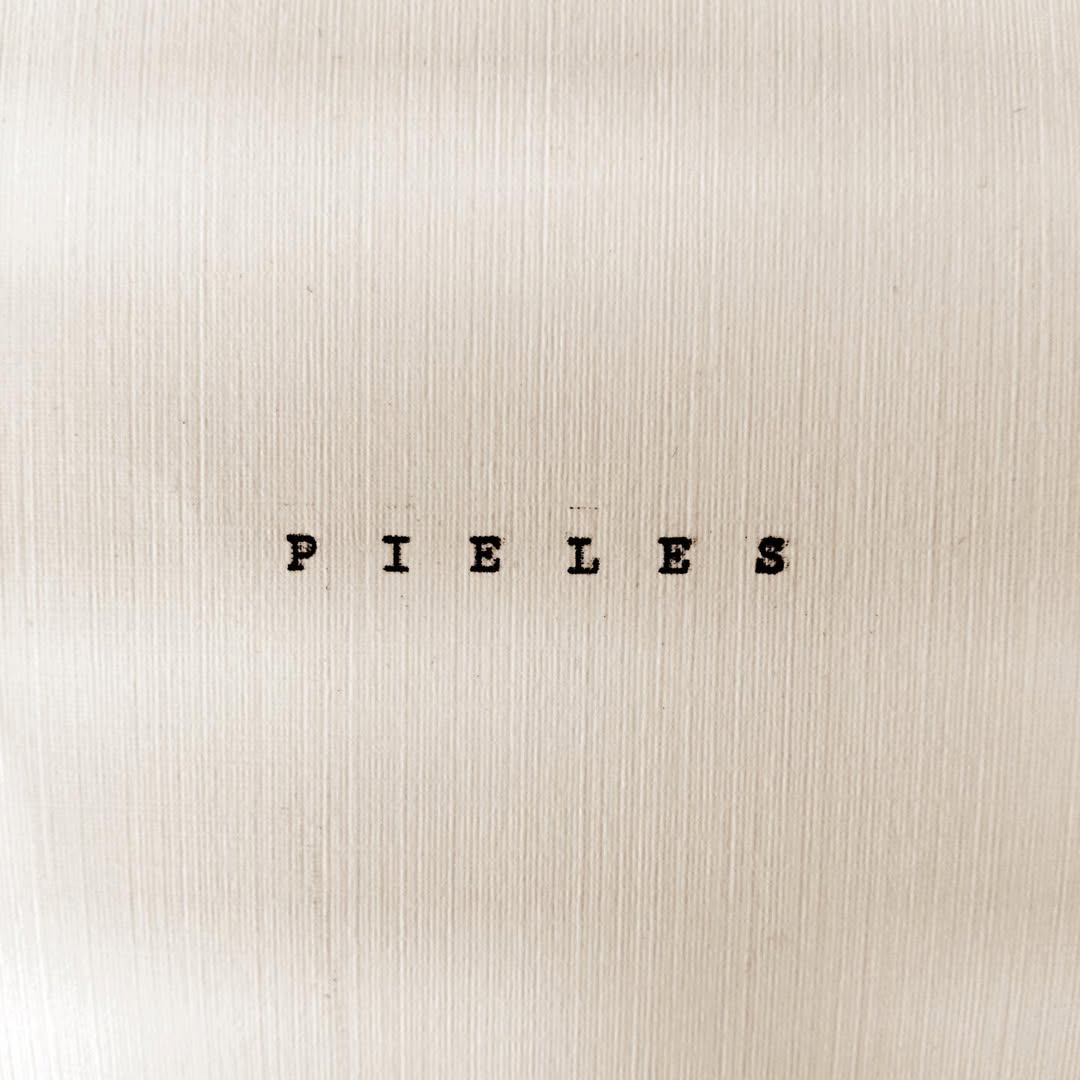 Pieles by Renatto Olivares (Single): Reviews, Ratings, Credits, Song ...