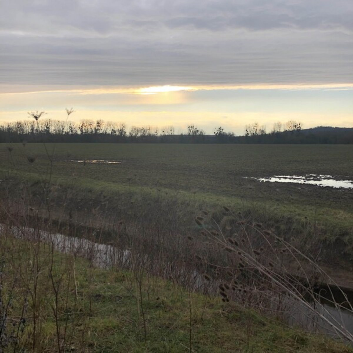 le nouvel album de camiie en 2025 by camiee (Album, Plunderphonics ...