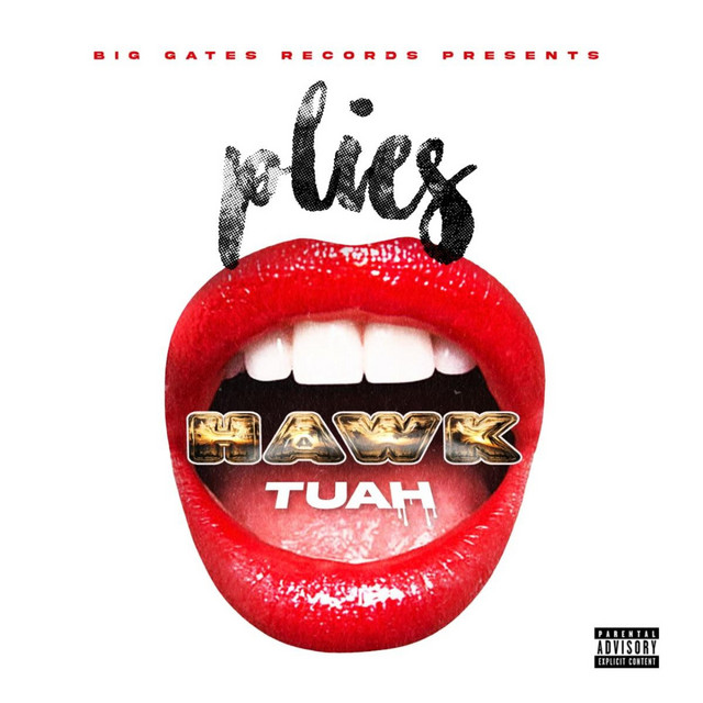 Hawk Tuah by Plies (Single, Detroit Trap): Reviews, Ratings, Credits ...