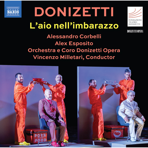 L'aio nell'imbarazzo by Orchestra e Coro Donizetti Opera / Vincenzo ...