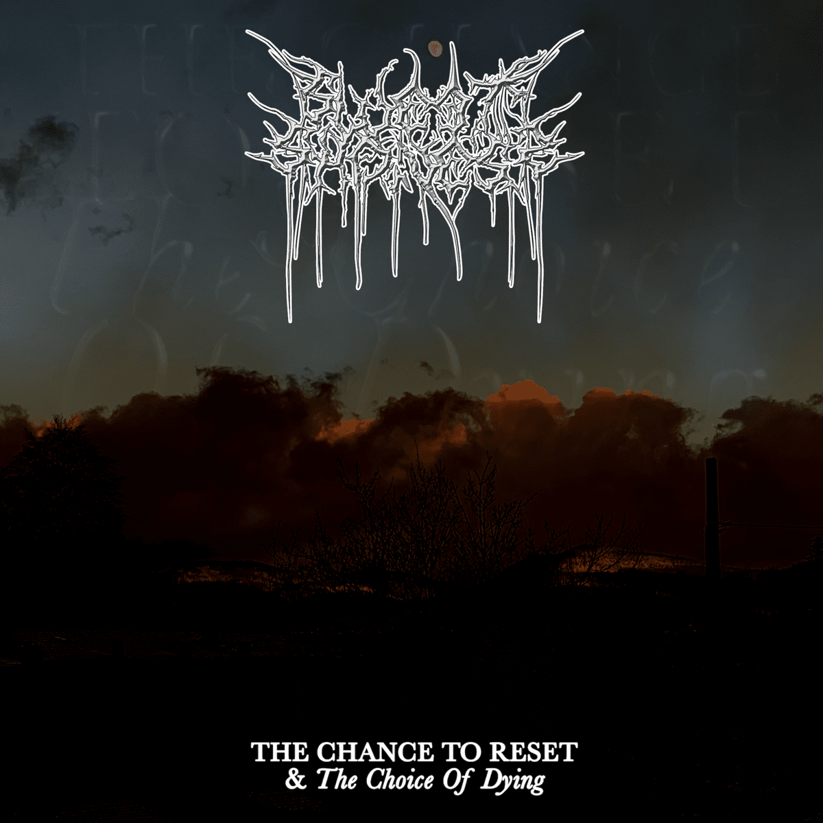 The Chance to Reset & the Choice of Dying by Sweet Sadness (Album, DSBM ...