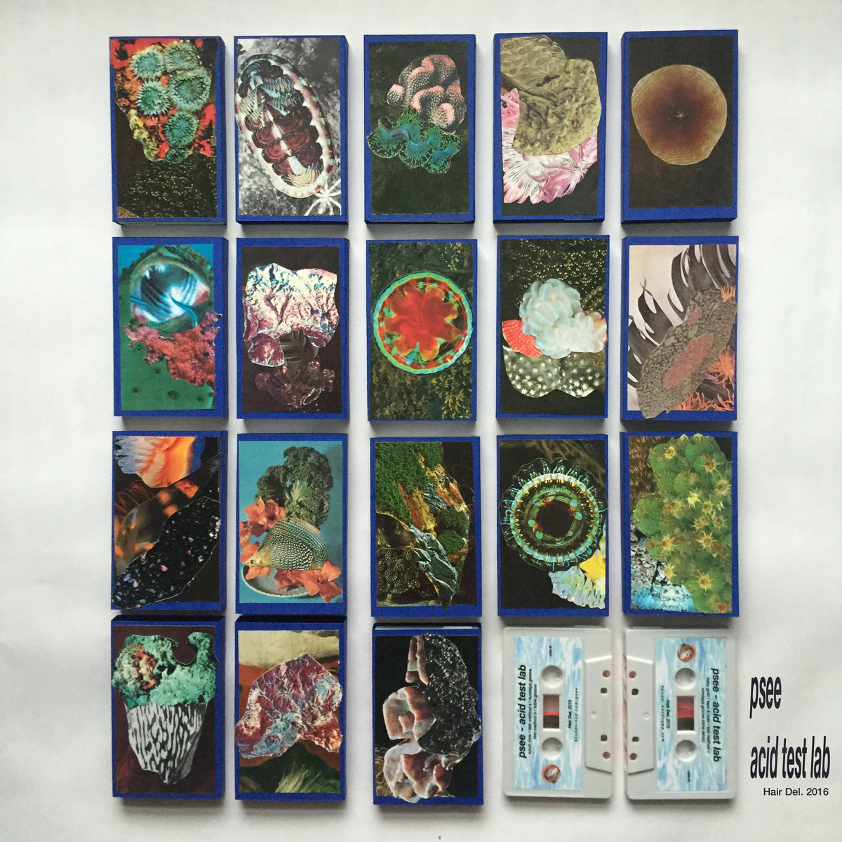 Acid Test Lab by Psee (Album, Acid House): Reviews, Ratings, Credits ...