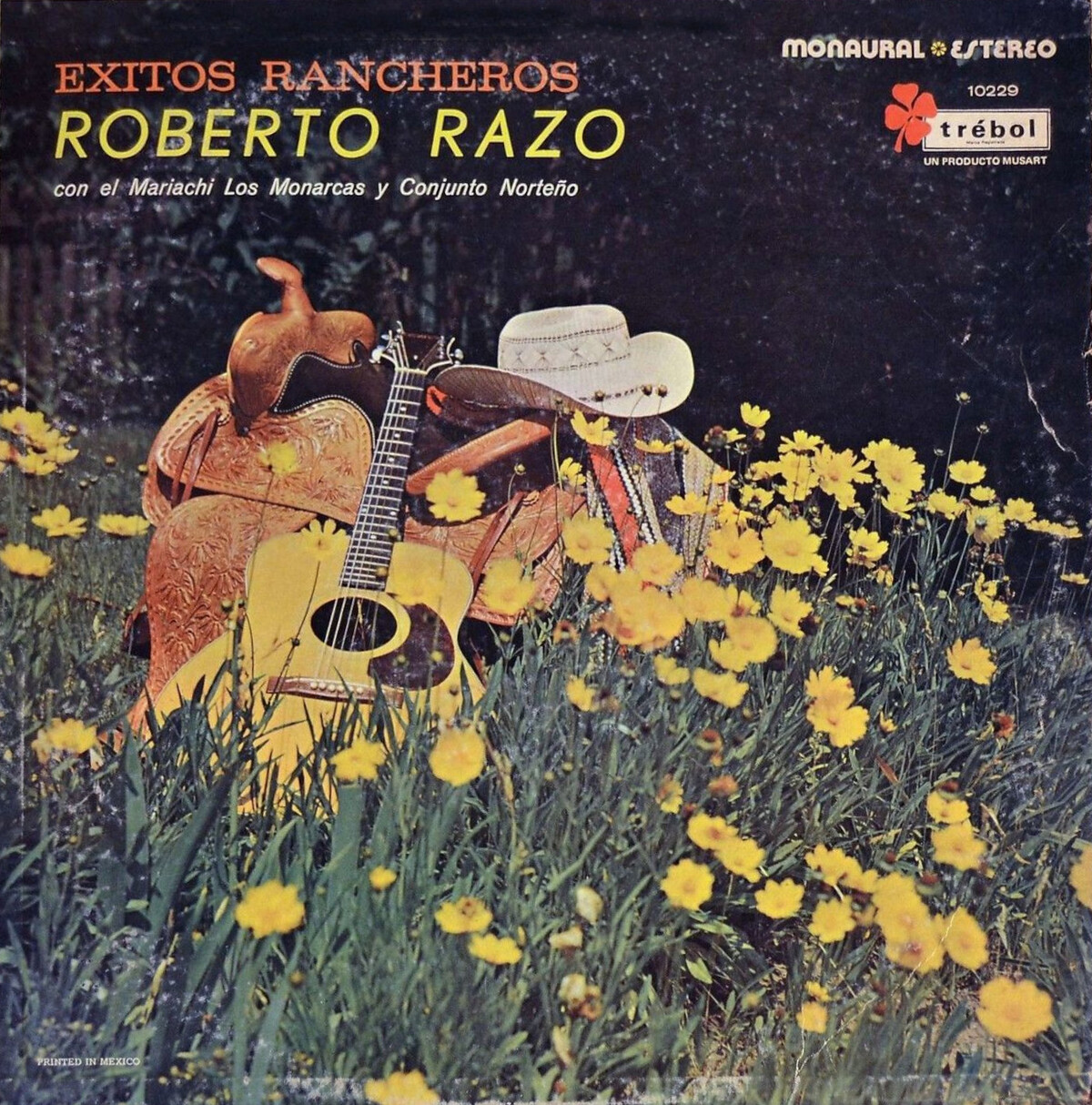 Roberto Razo Albums: songs, discography, biography, and listening guide ...