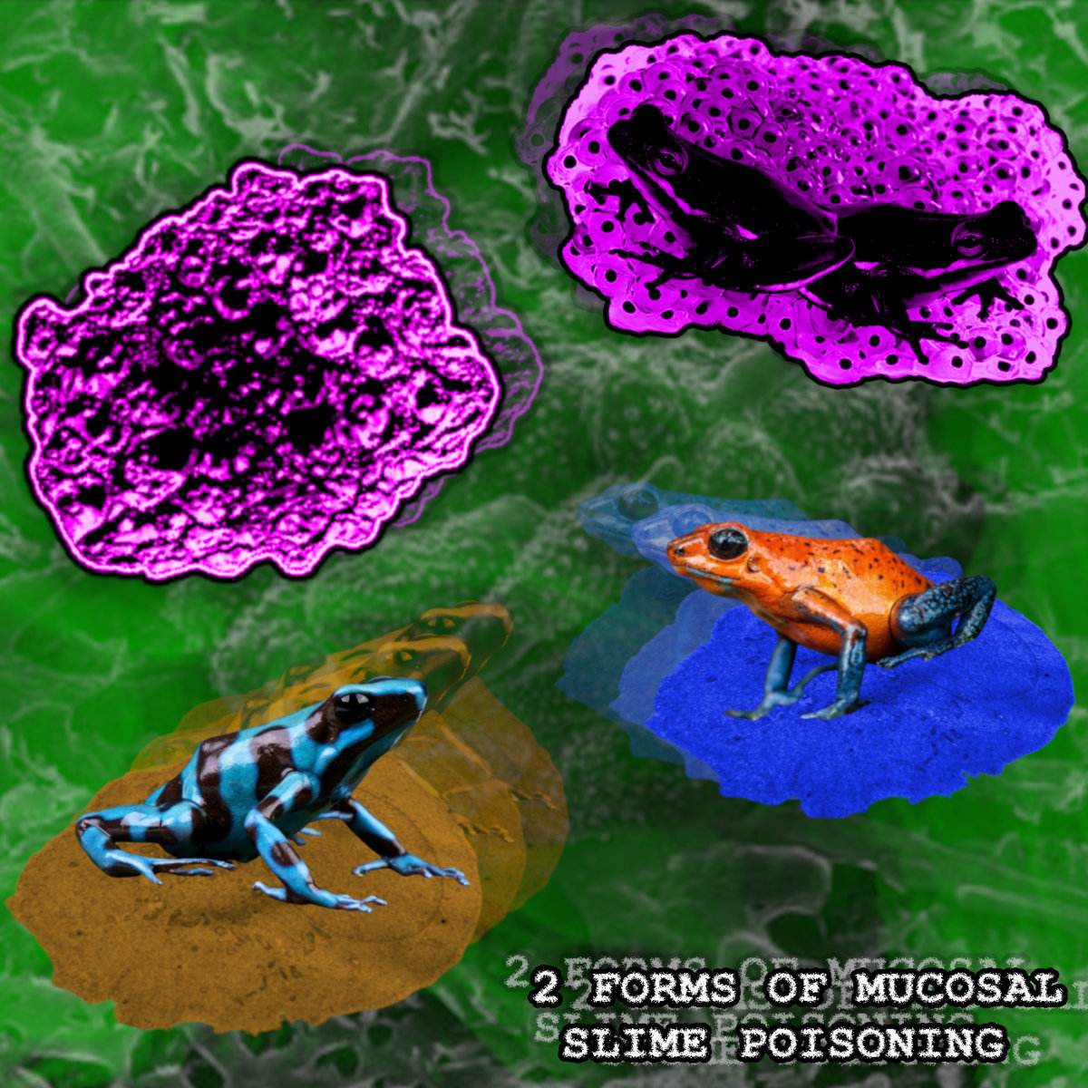 2 Forms of Mucosal Slime Poisoning by Chthonomonas Calidirosea / Sick ...