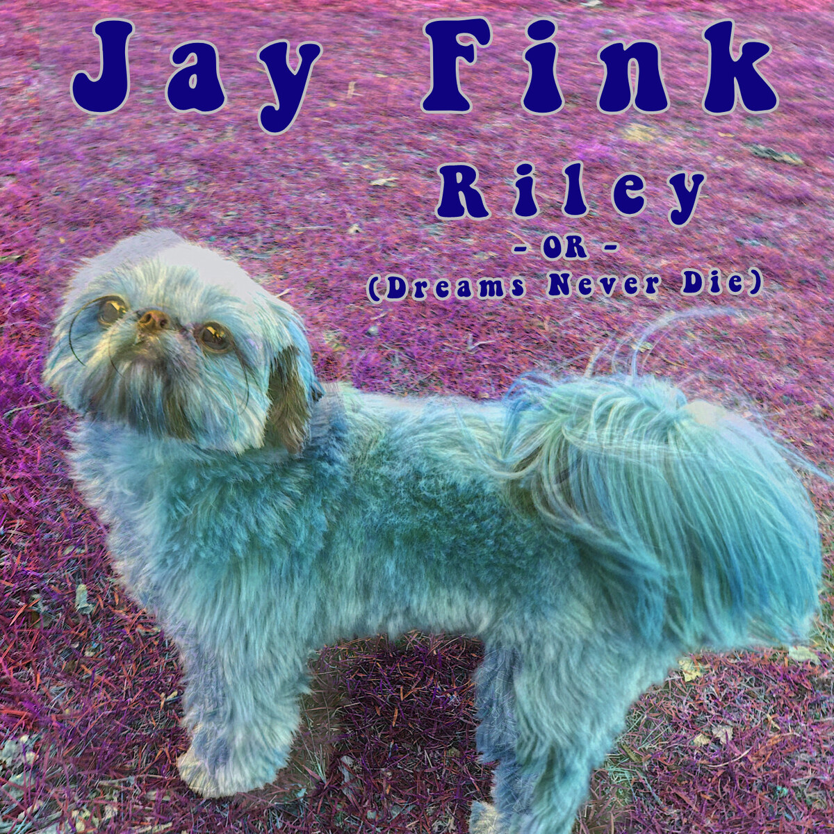 Jay Fink Albums: songs, discography, biography, and listening guide ...