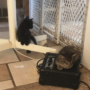 leverfall Albums: songs, discography, biography, and listening guide - Rate Your Music