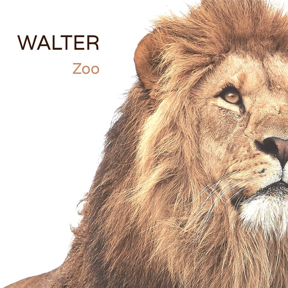 Zoo by Walter (Album, Alternative Rock): Reviews, Ratings, Credits ...