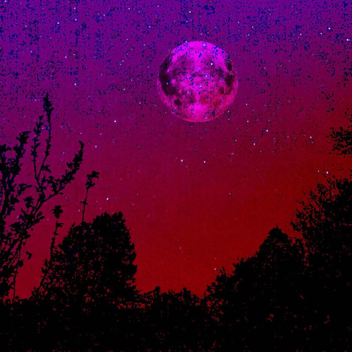 pink moonlight by wiynn (Single, Shoegaze): Reviews, Ratings, Credits ...