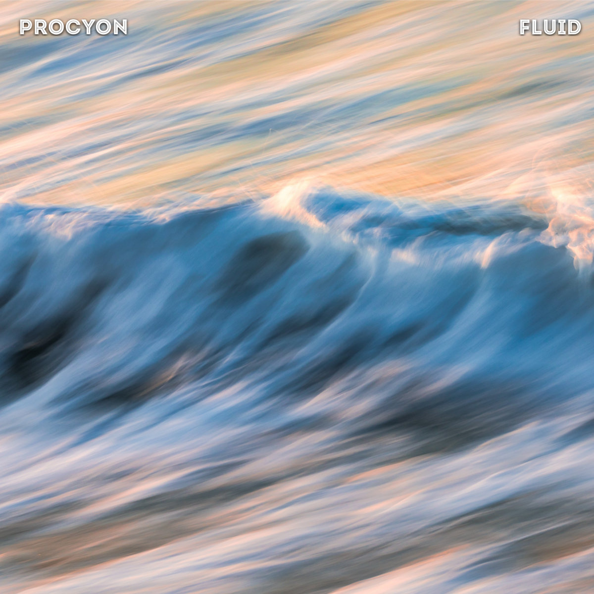 Fluid by PROCYON (Album; Friendship.): Reviews, Ratings, Credits, Song ...