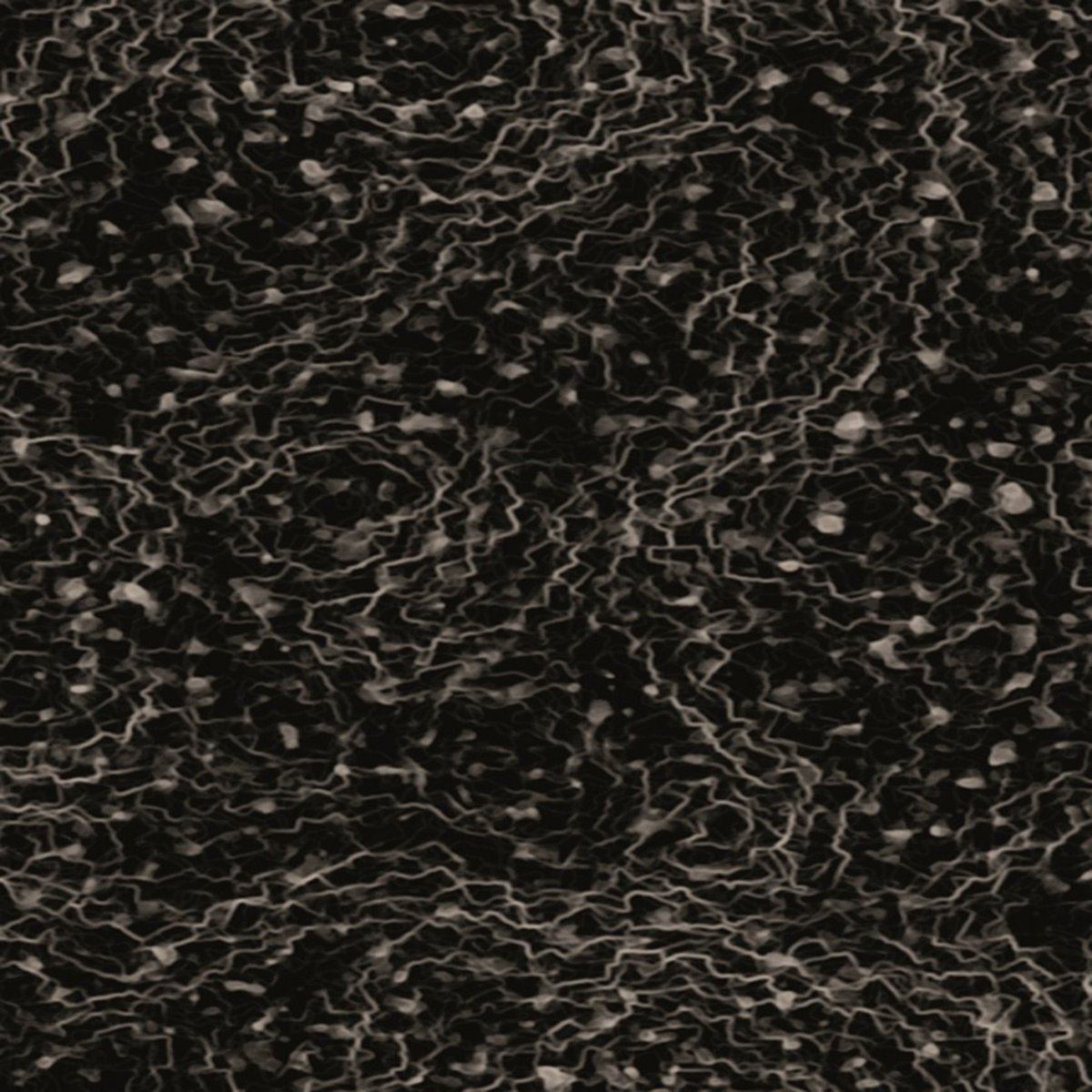 Absolute Absorbtion by Dosis Letalis / Lost Graves (Album, Harsh Noise Wall): Reviews, Ratings ...