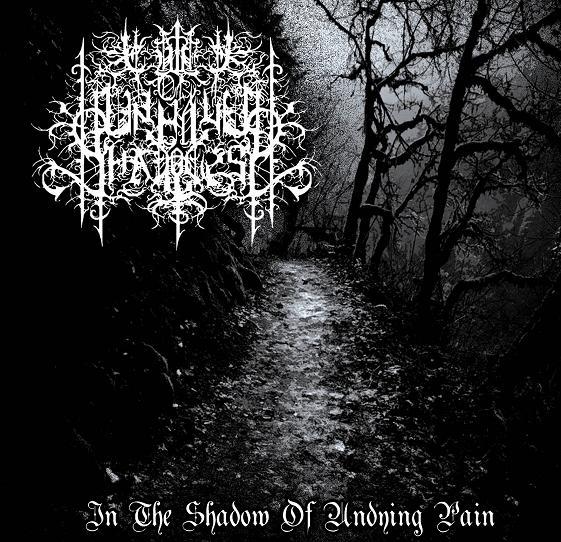 In the Shadow of Undying Pain by Cult of Unholy Shadows (Album, Black ...