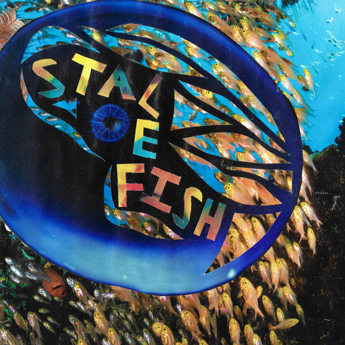 Stalefish Does America by Stalefish (Album): Reviews, Ratings, Credits ...