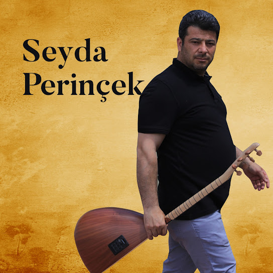 Zarok by Seyda Perinçek (Single, Turkish Folk Music): Reviews, Ratings ...
