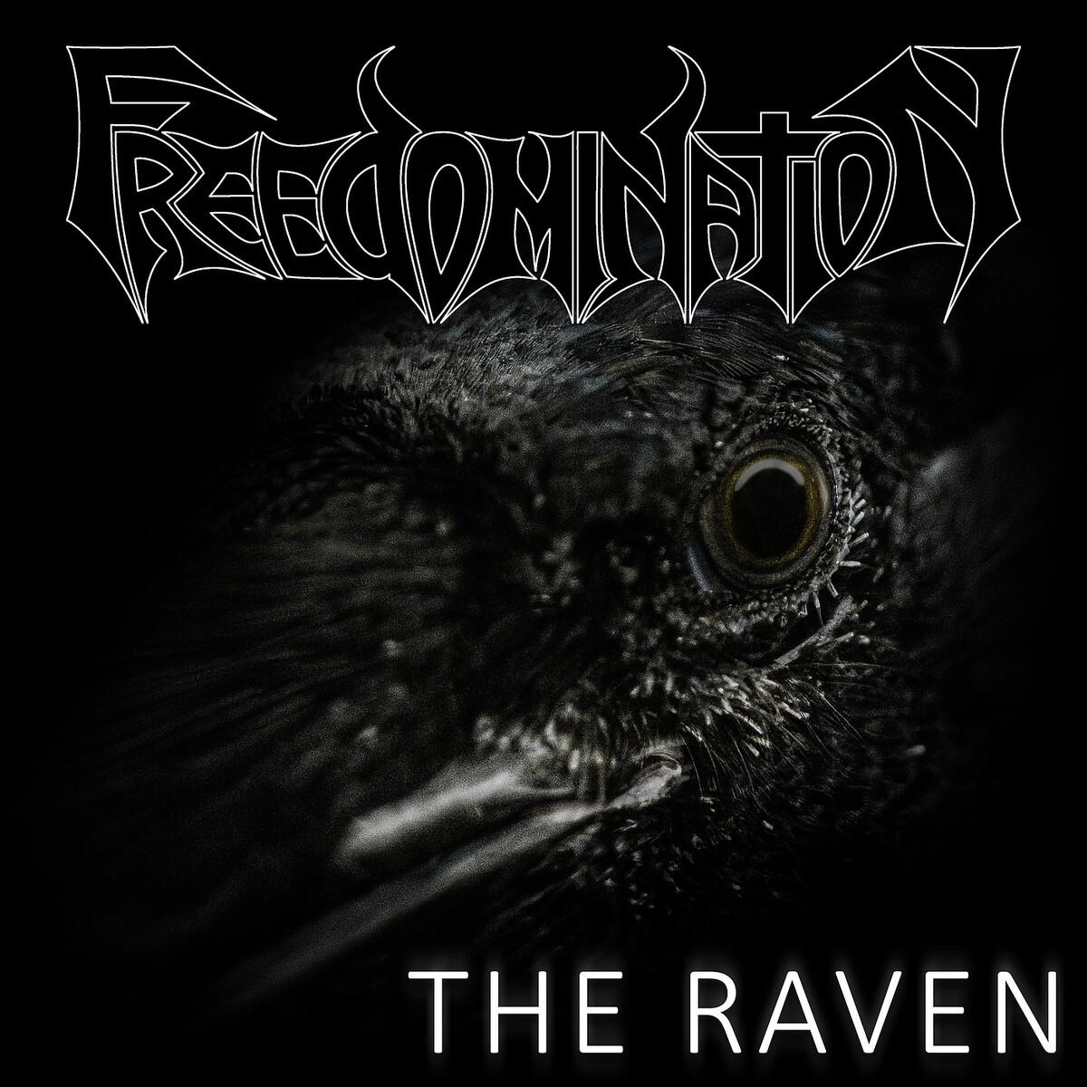 The Raven by Freedomination (Single): Reviews, Ratings, Credits, Song ...