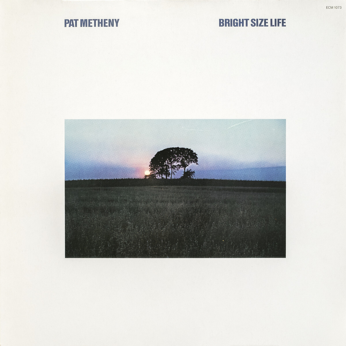 Bright Size Life by Pat Metheny (Album, Jazz Fusion): Reviews, Ratings ...