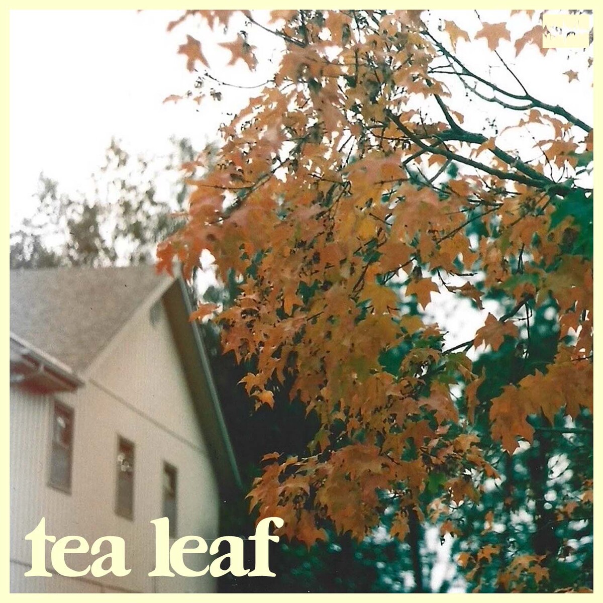 Tea Leaf by Tea Leaf (Album): Reviews, Ratings, Credits, Song list ...