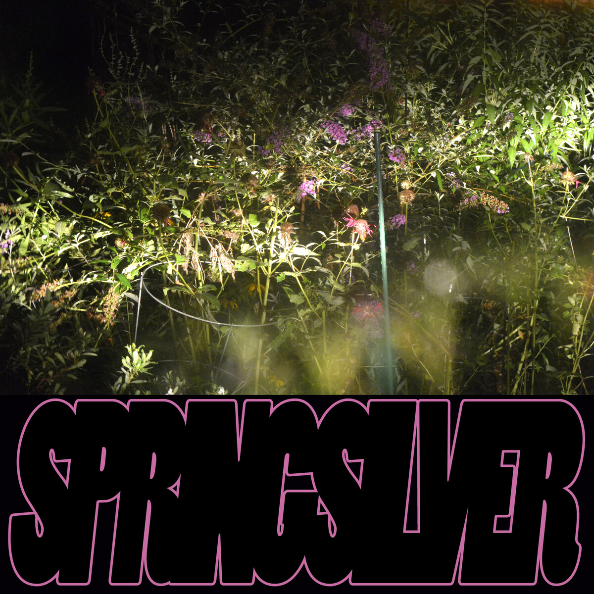 Spring Silver by Spring Silver (EP): Reviews, Ratings, Credits, Song ...