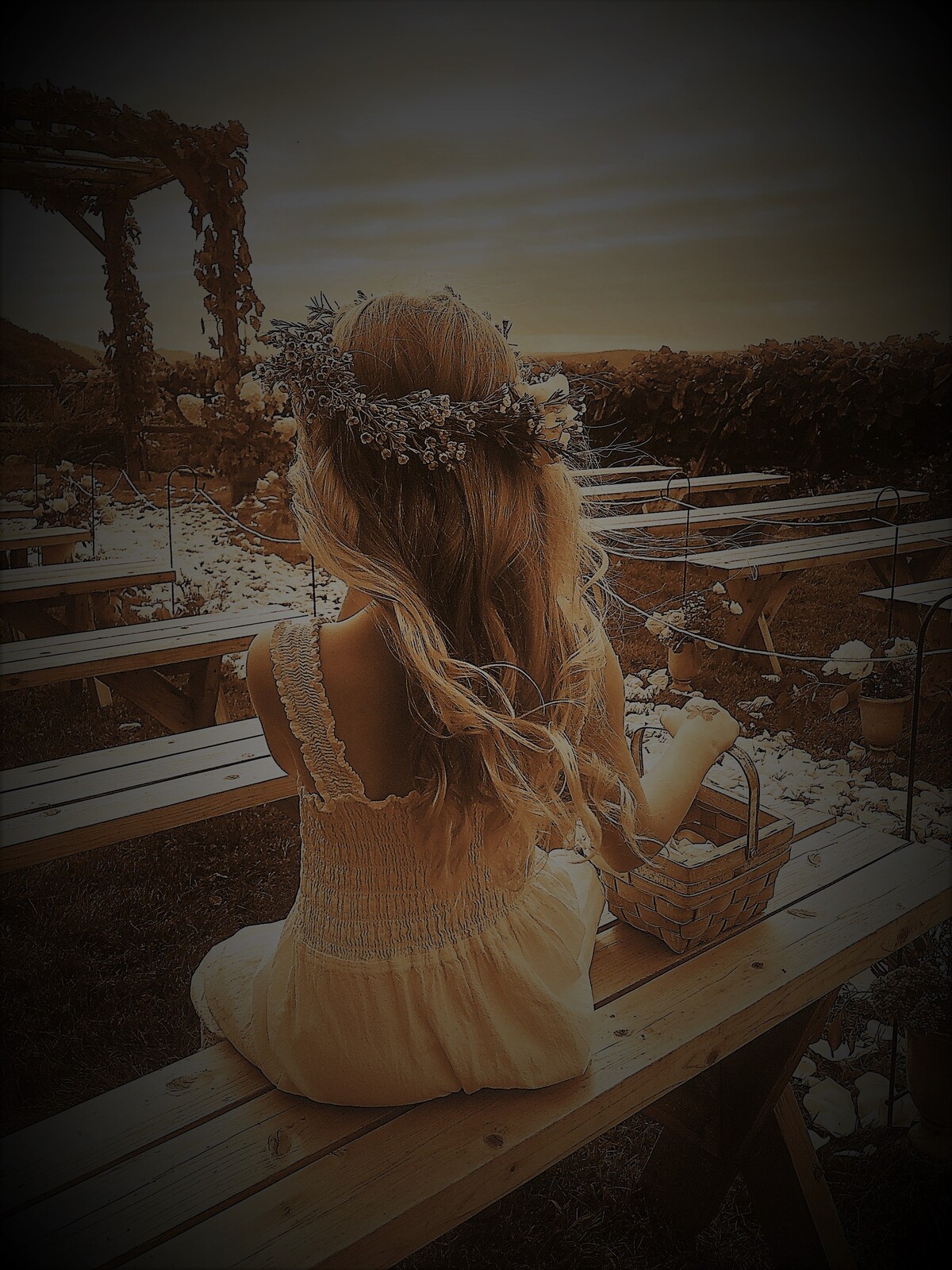 Hazel Gaze Albums: songs, discography, biography, and listening guide ...