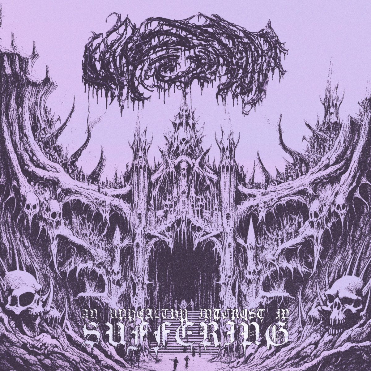Undulation Albums: songs, discography, biography, and listening guide ...