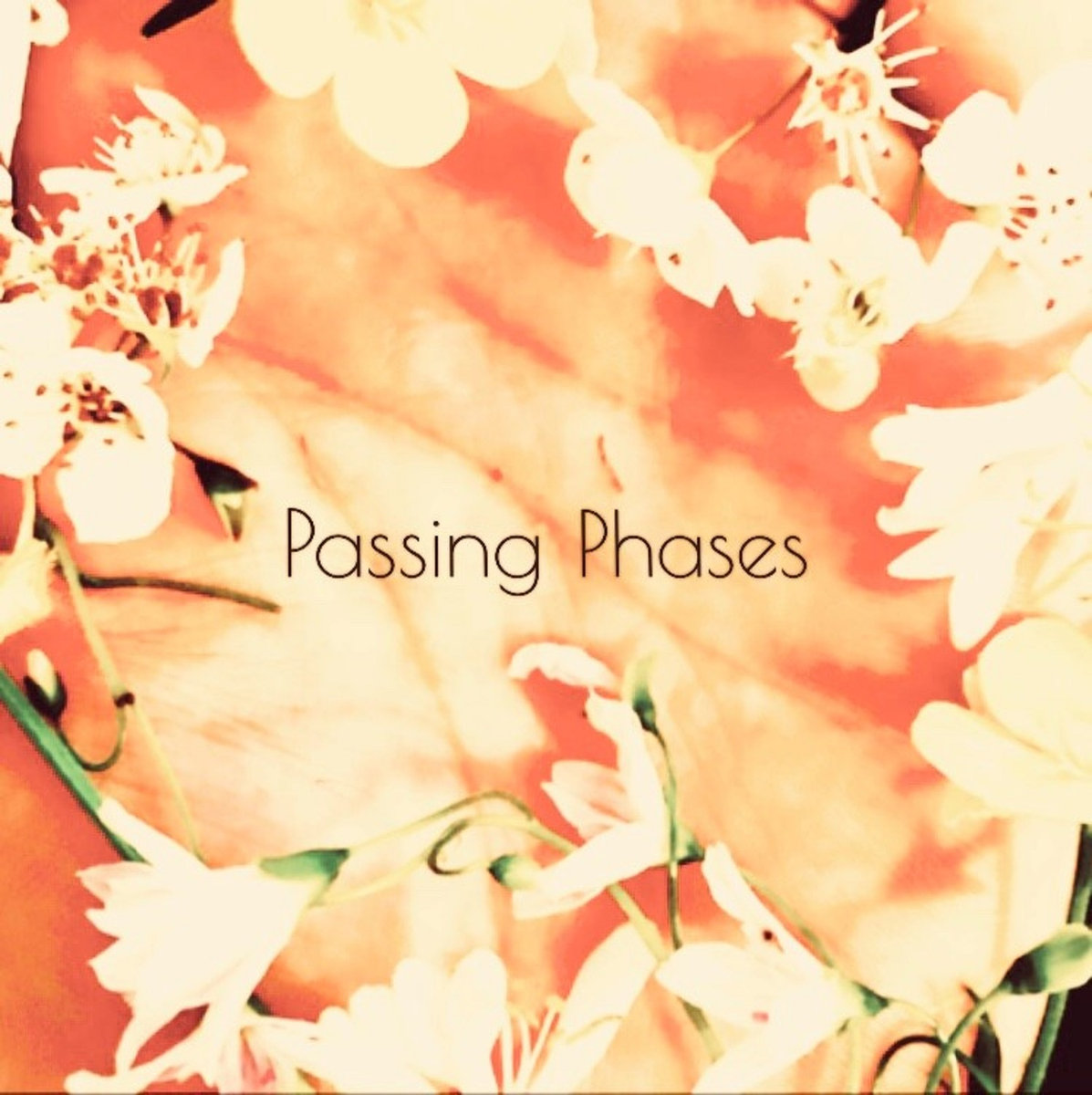 Passing Phases by Passing Phases (EP): Reviews, Ratings, Credits, Song ...