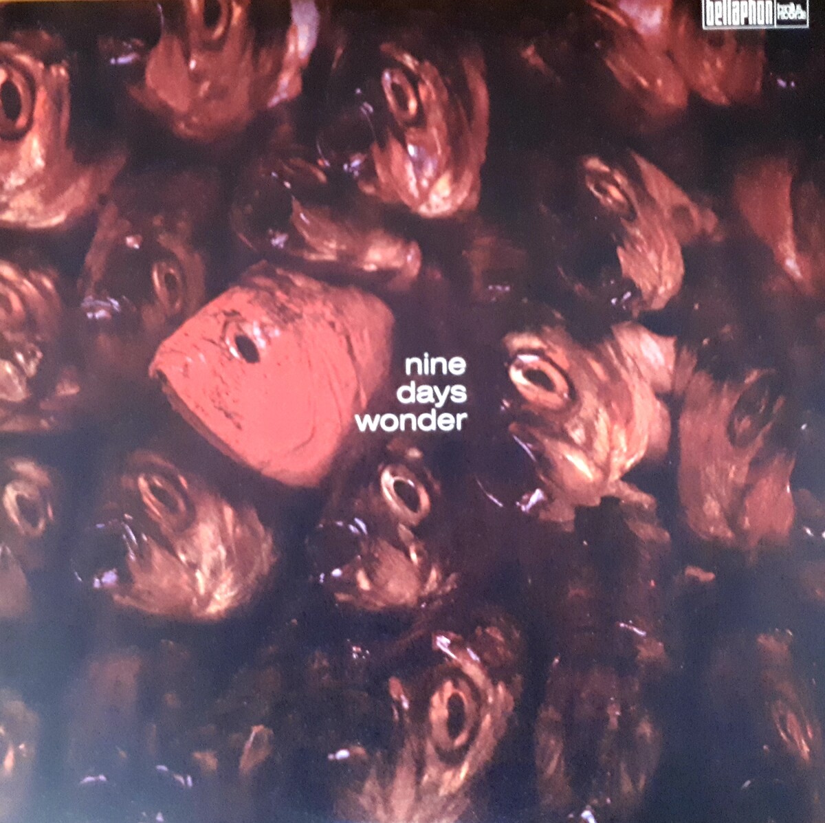 Nine Days Wonder by Nine Days Wonder (Album; Cargo; 9861916): Reviews ...