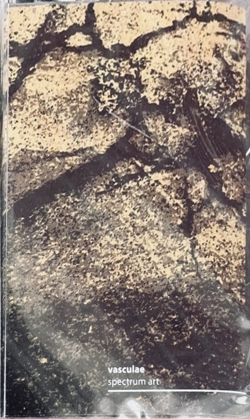 Spectrum Art by Vasculae (Album, Harsh Noise Wall): Reviews, Ratings ...