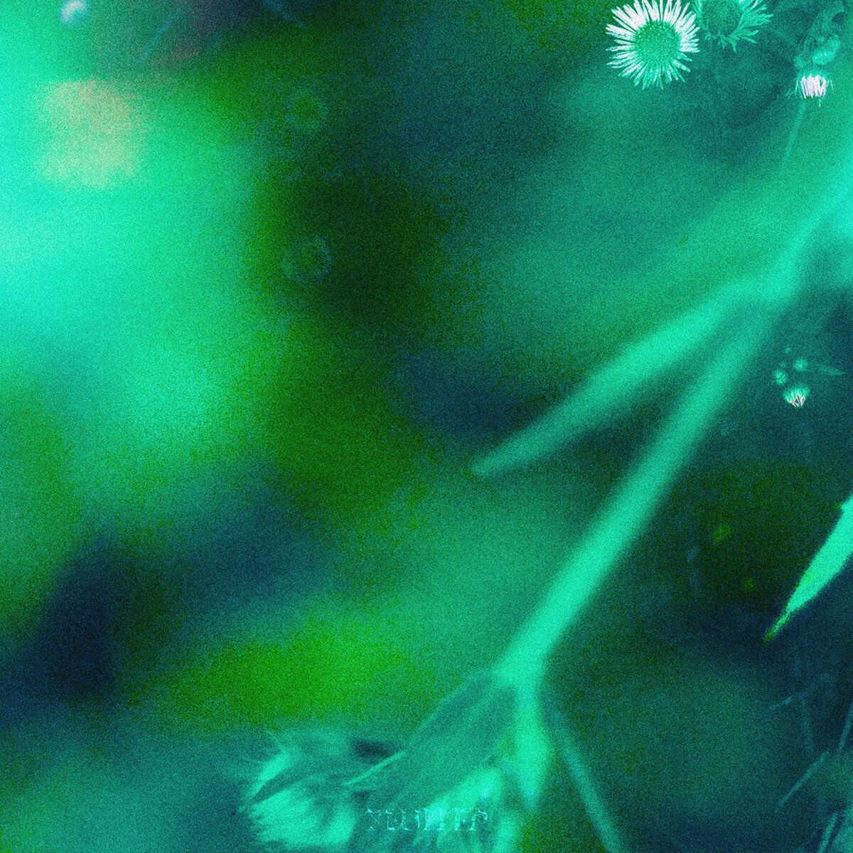 Flutter by Fauxx (EP, Digicore): Reviews, Ratings, Credits, Song list ...