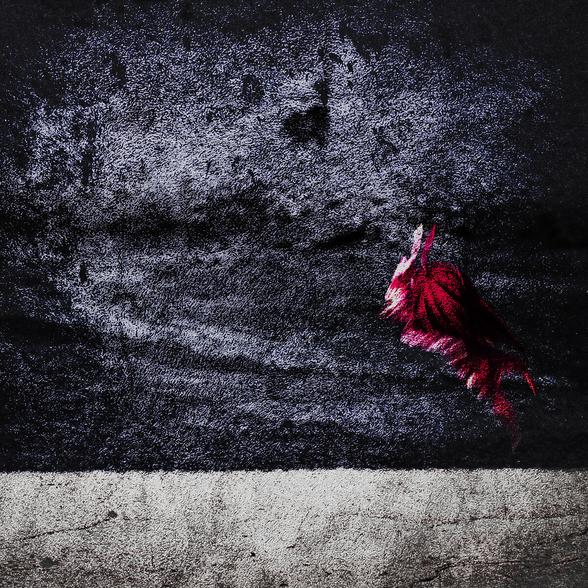 Heilun by Skynbrögð (Album): Reviews, Ratings, Credits, Song list ...