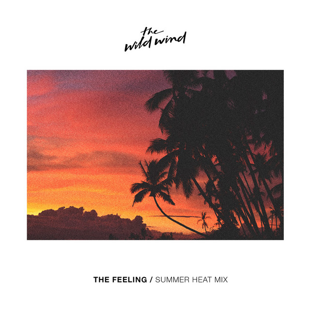 The Feeling (Summer Heat Mix) by The Wild Wind (Single): Reviews ...