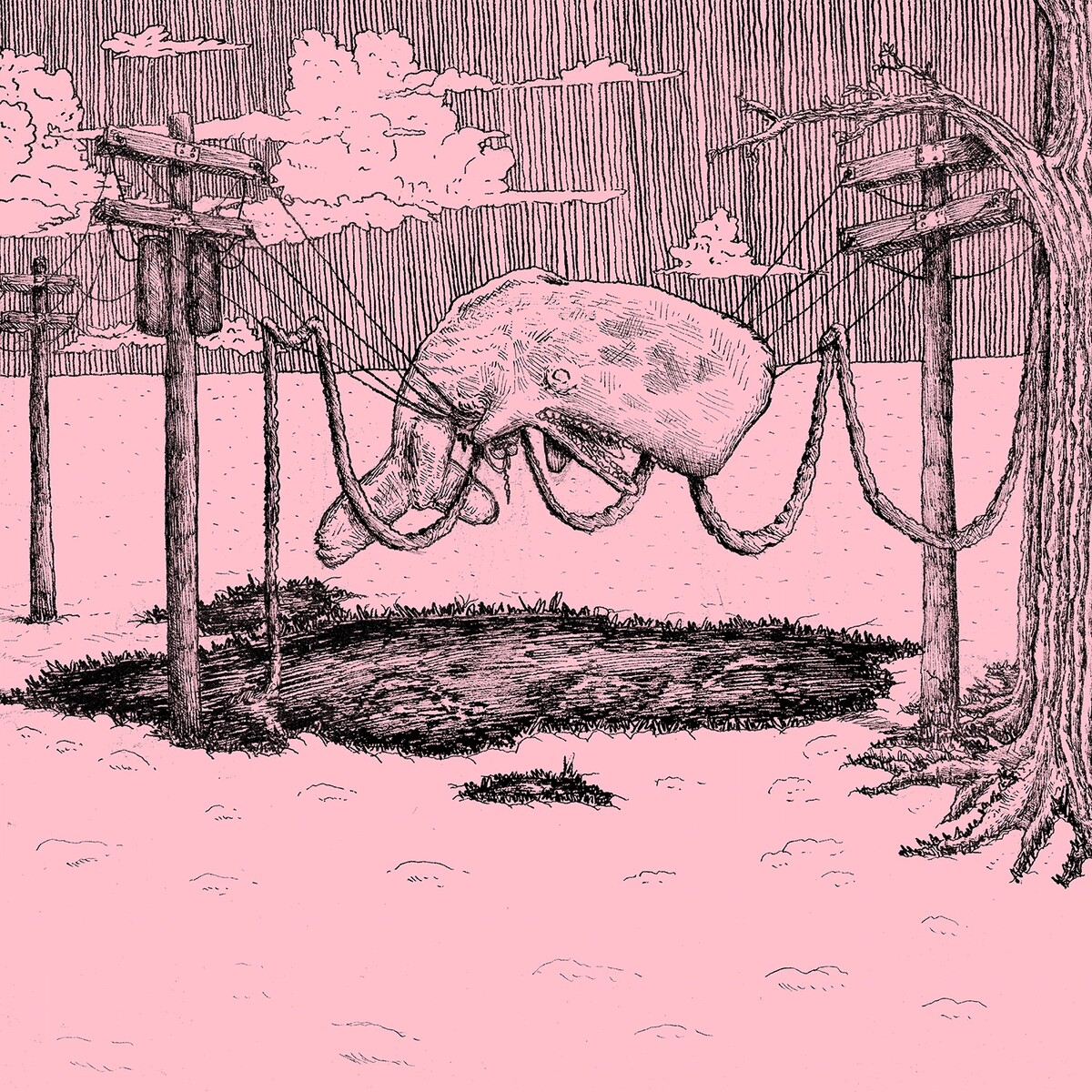 Home Is Where Albums: songs, discography, biography, and listening ...