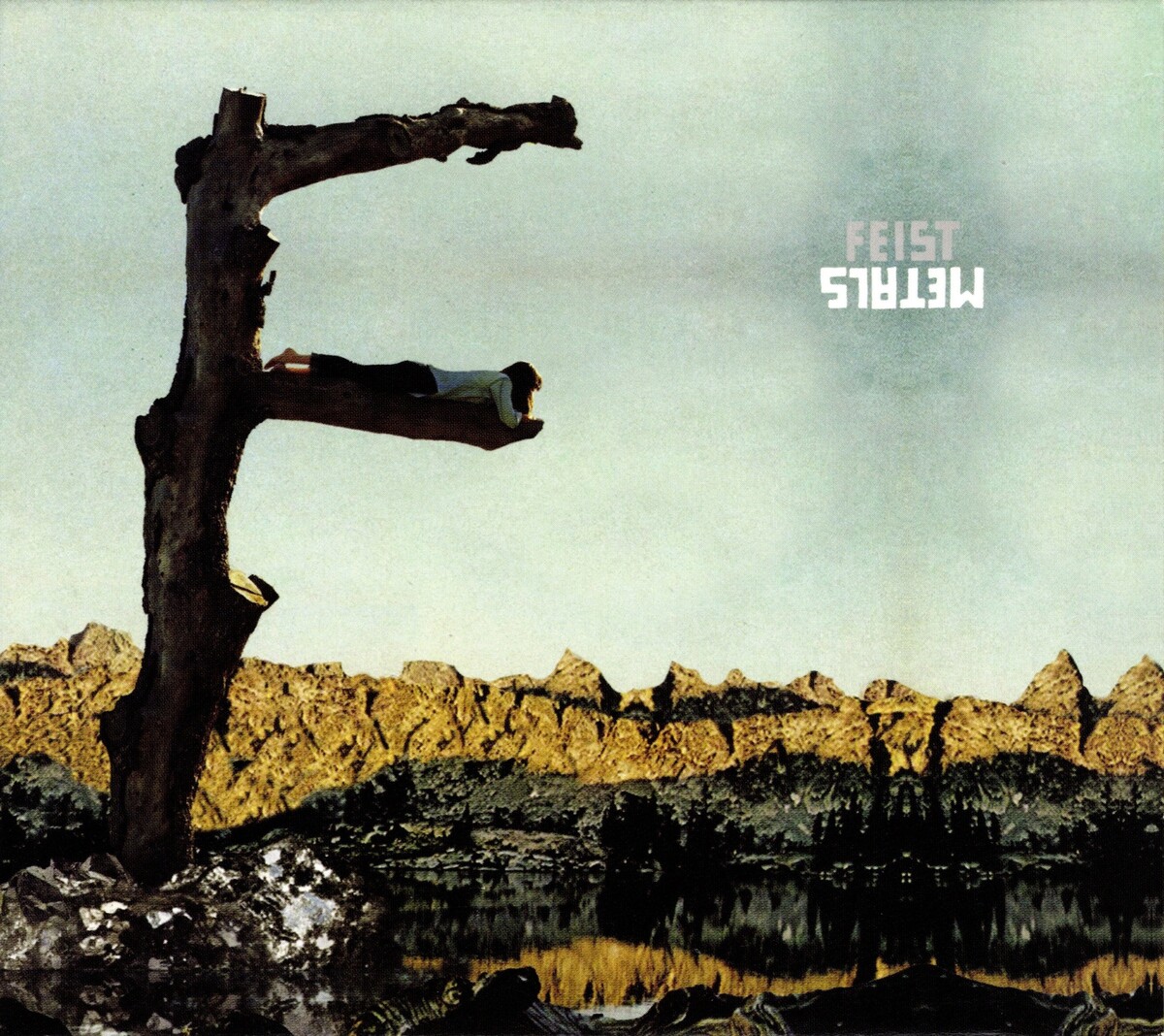 Metals by Feist (Album, Indie Pop): Reviews, Ratings, Credits, Song ...