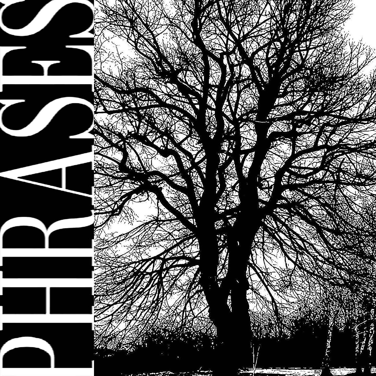 006: All They Wanted to Laugh at Was the Pumpkins by Phrases (Album ...