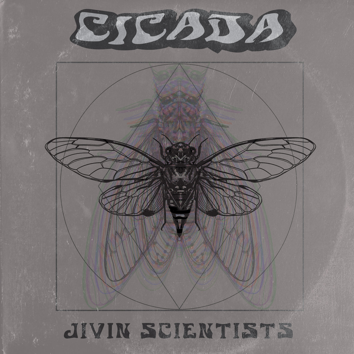 Cicada by Jivin Scientists (Album): Reviews, Ratings, Credits, Song ...